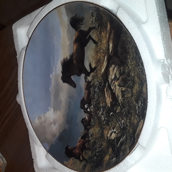 The Bradford Exchange | Accents | Distant Thunder Plate 93a By Melinda ...